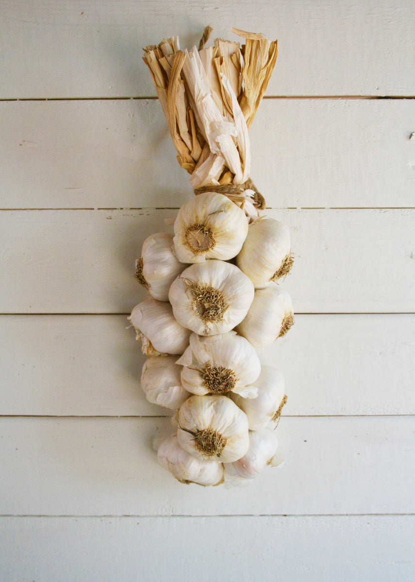 Garlic Braid - 13 Bulb – McFadden Family Vineyard & Farm