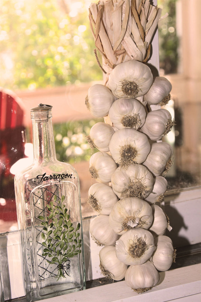 Garlic Braid - 19 Bulb – McFadden Family Vineyard & Farm